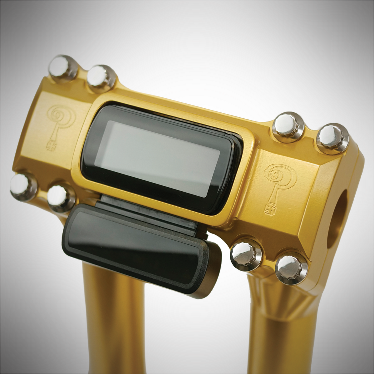 Brooklyn Brawler Harley Davidson Risers - Gold / 8"– Indian Larry ...